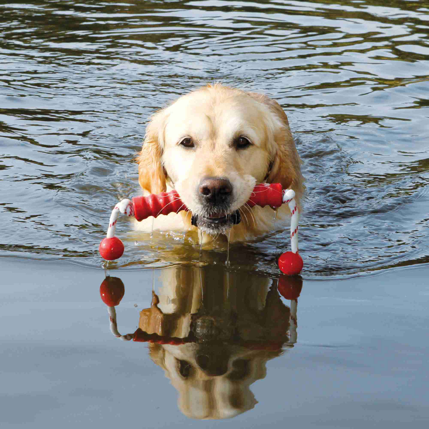Dog Activity Mot-Long, floatable, 20 cm/42 cm - TRIXIE