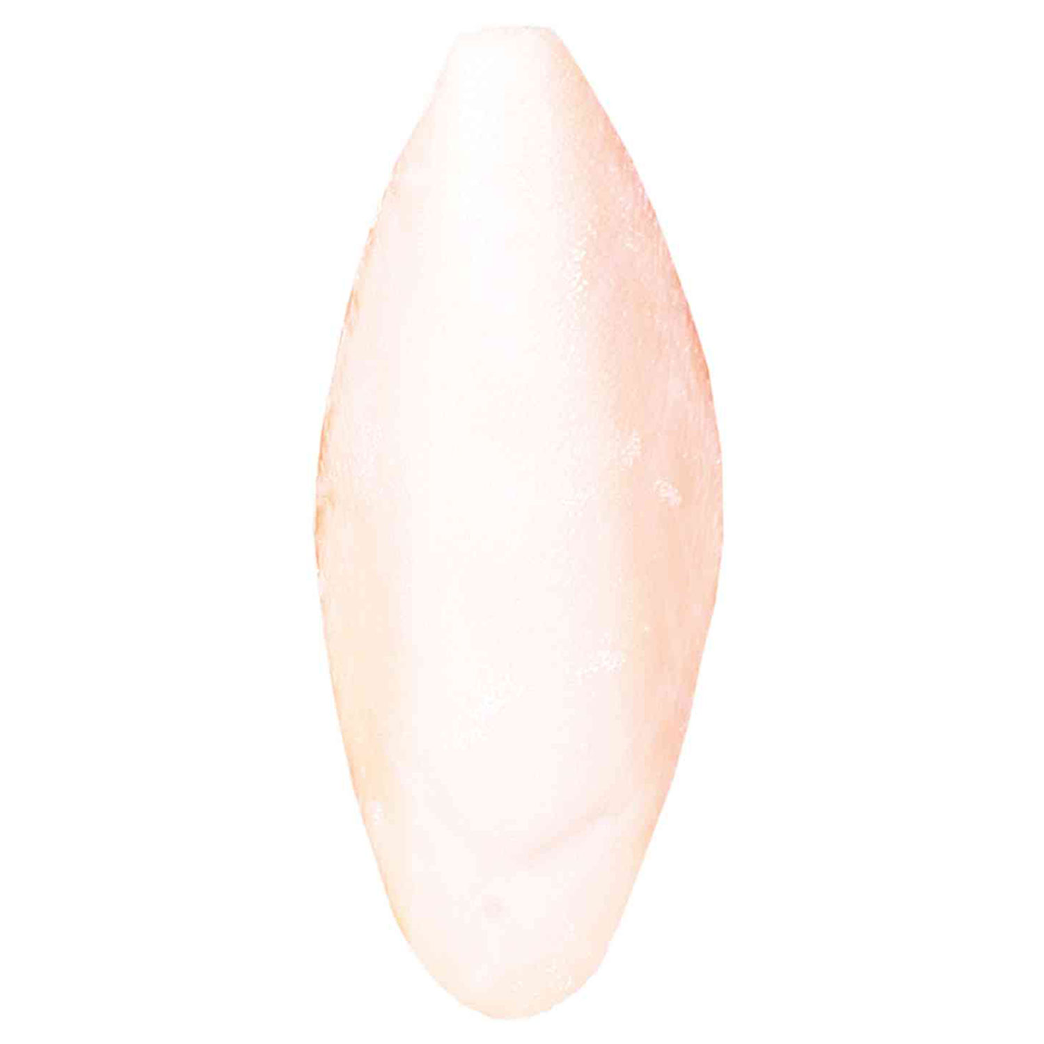 50 cuttle fish bones, small - TRIXIE