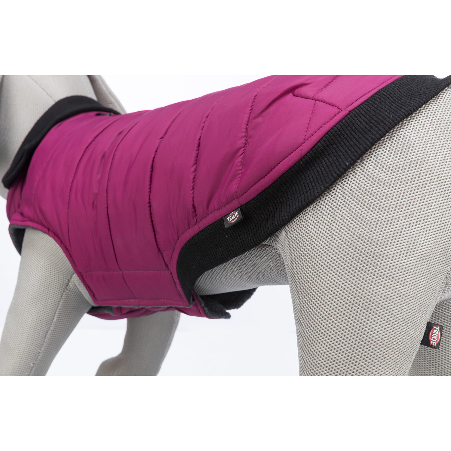Arlay coat, M: 45 cm, berry - TRIXIE